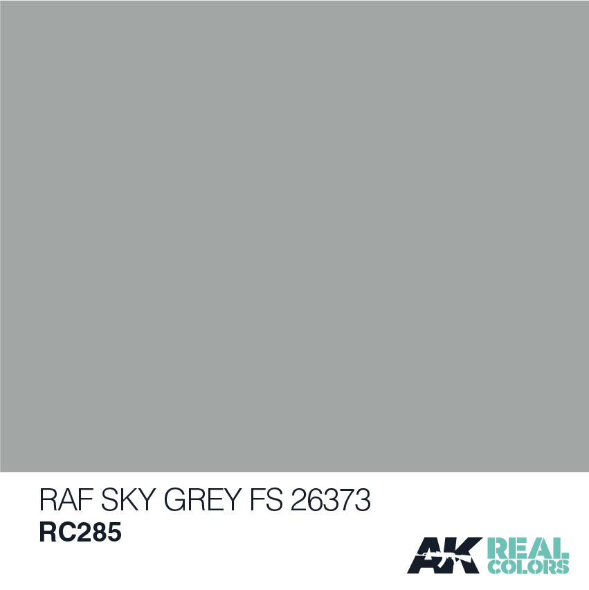 Real Colors Raf sky grey / FS26373 - Colors